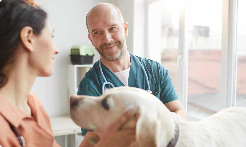Plan Your First Visit to Our Veterinary Clinic - Estero Animal Hospital